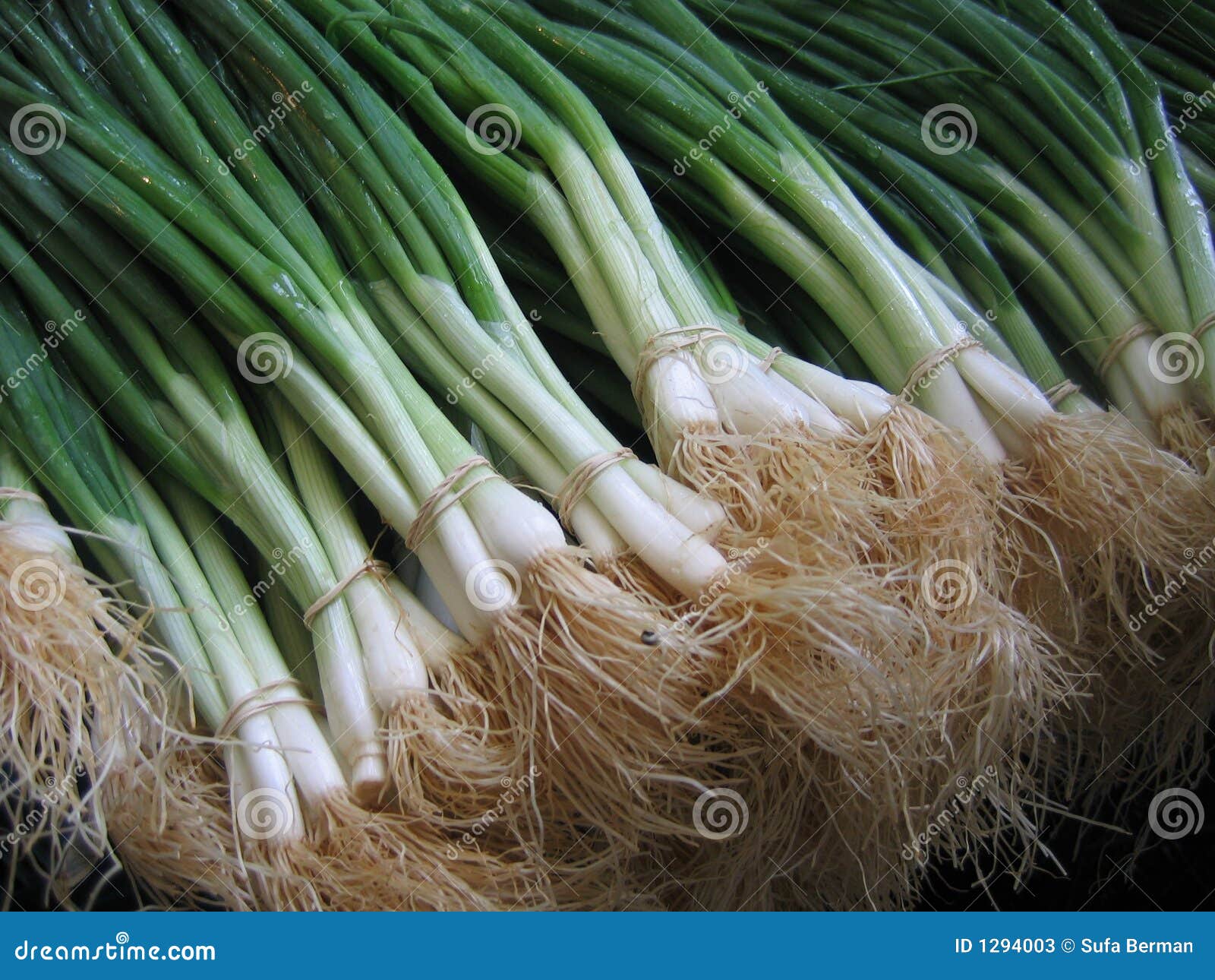 Green onions stock image. Image of dais, puddle, mass - 1294003