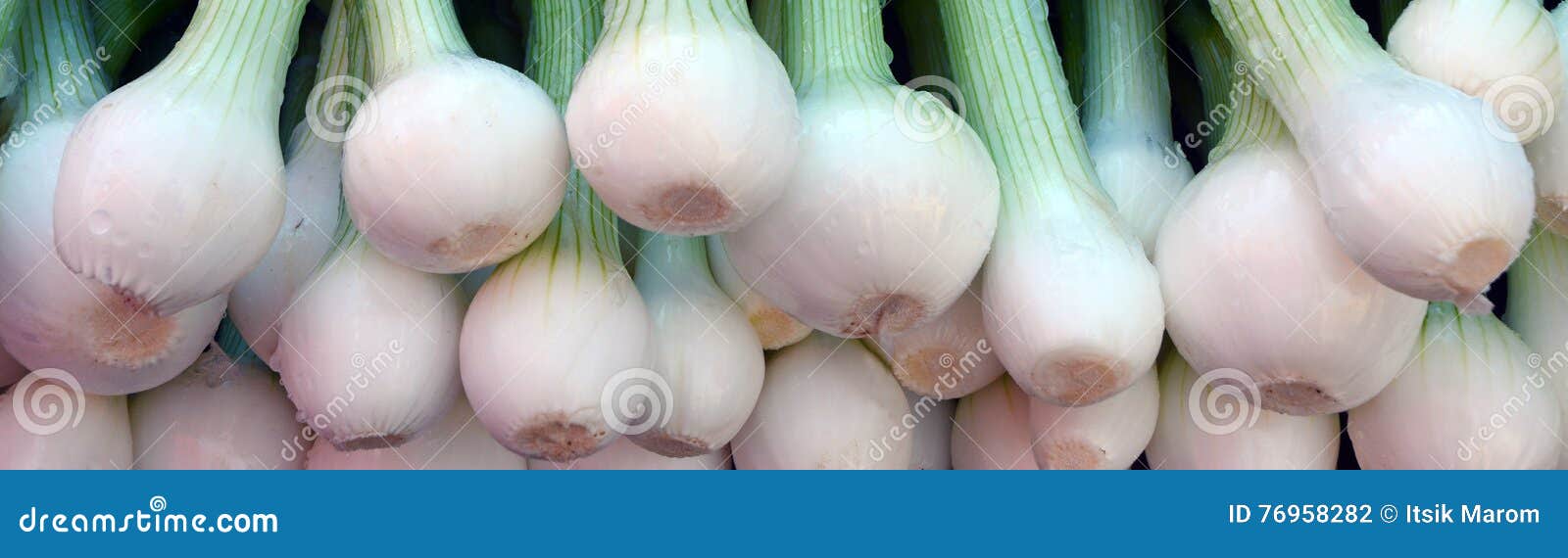 Green onions stock photo. Image of close, cooking, fresh - 76958282