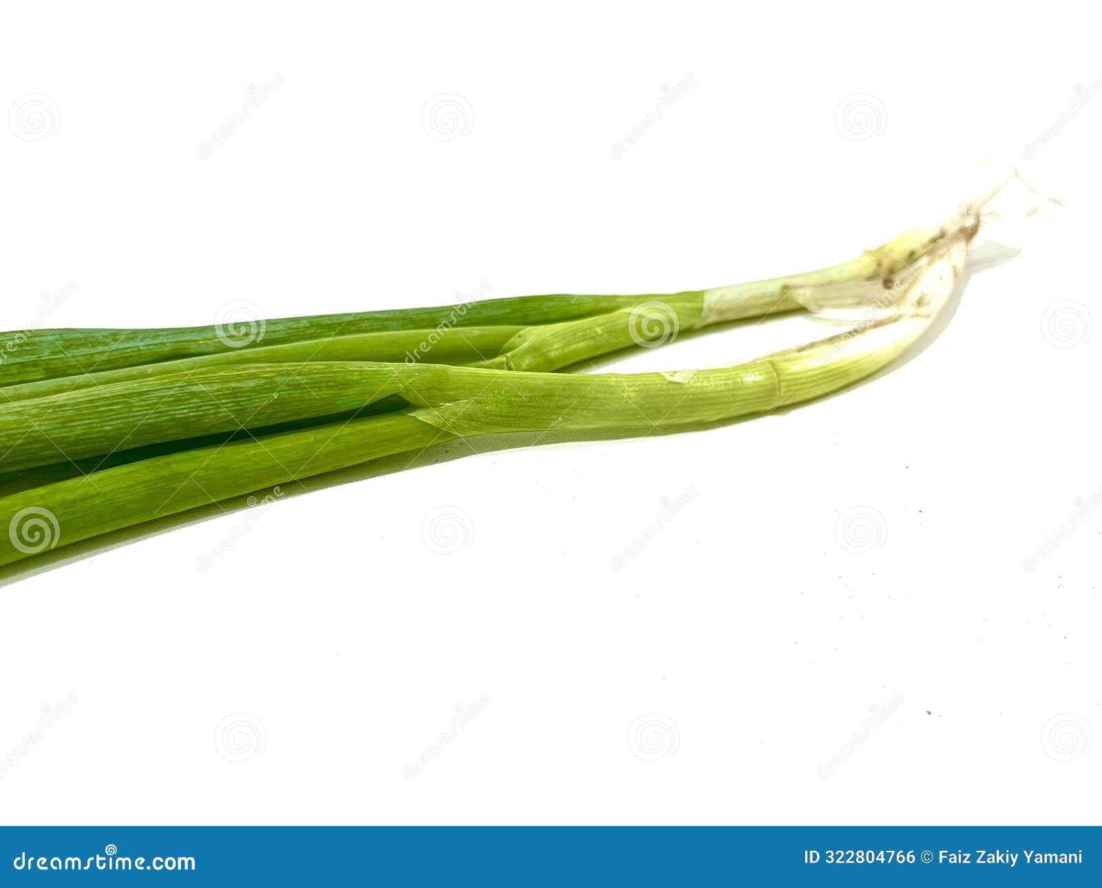 Green Onions Isolated on White Background Stock Photo - Image of roots ...