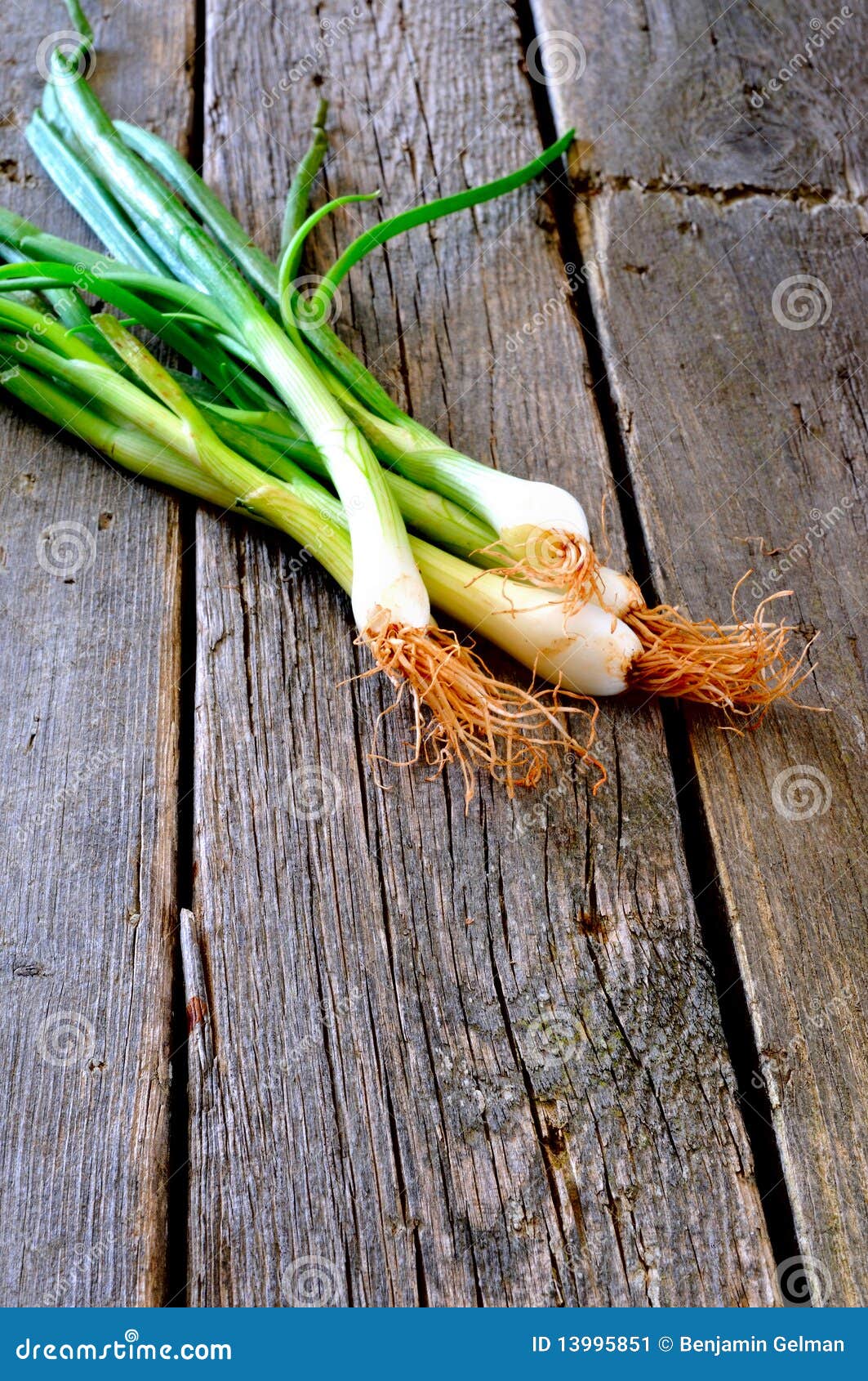 Green Onions on an Old Table Stock Image - Image of delicious, onions ...