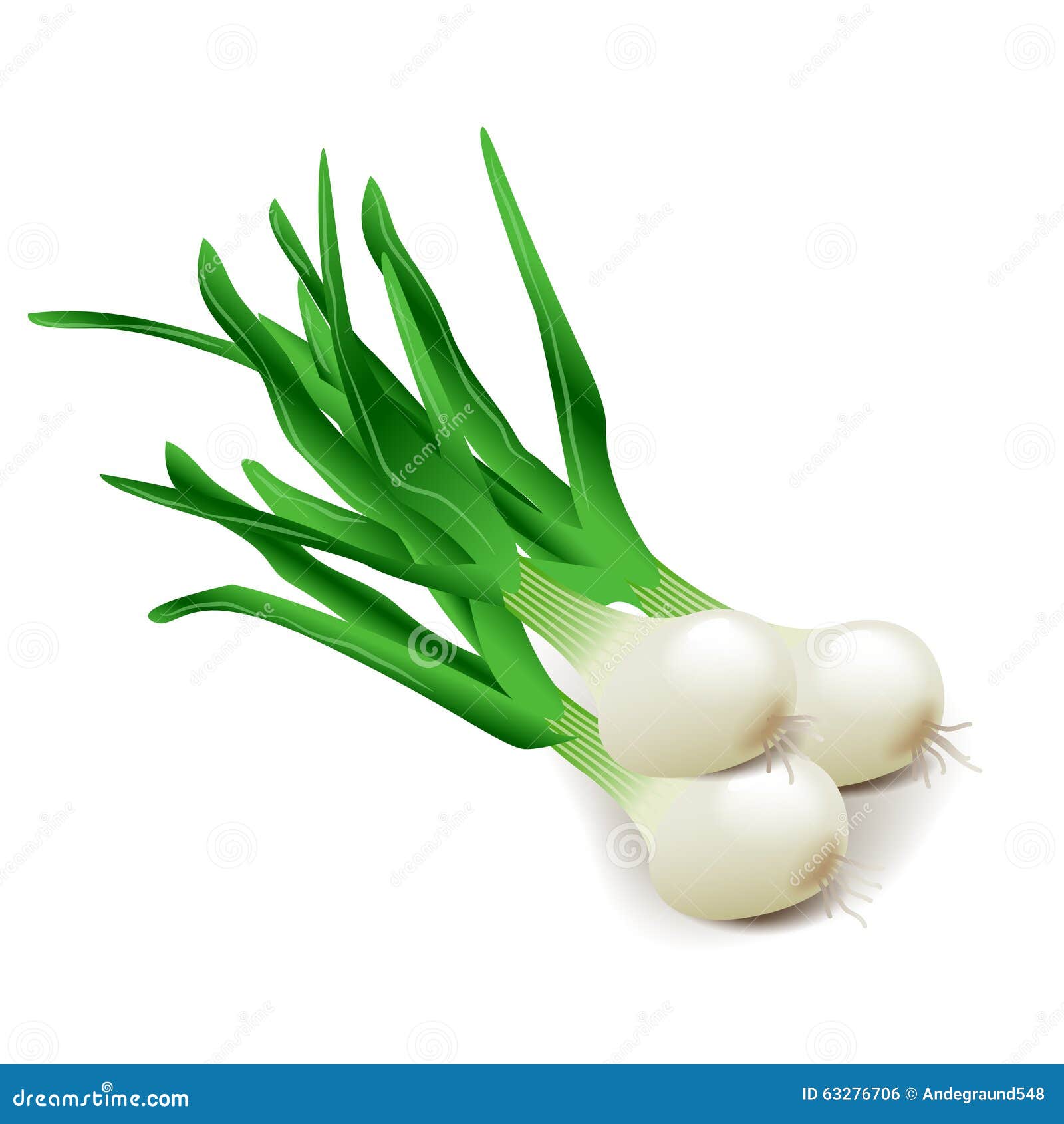 Green Onions on White Vector Stock Vector - Illustration of chef ...