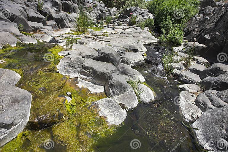 Green ooze stock photo. Image of spring, background, basalt - 7227062