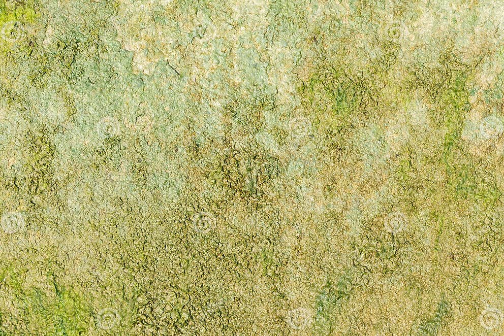 Green Ooze Waving on the River Flow Stock Photo - Image of chemical ...