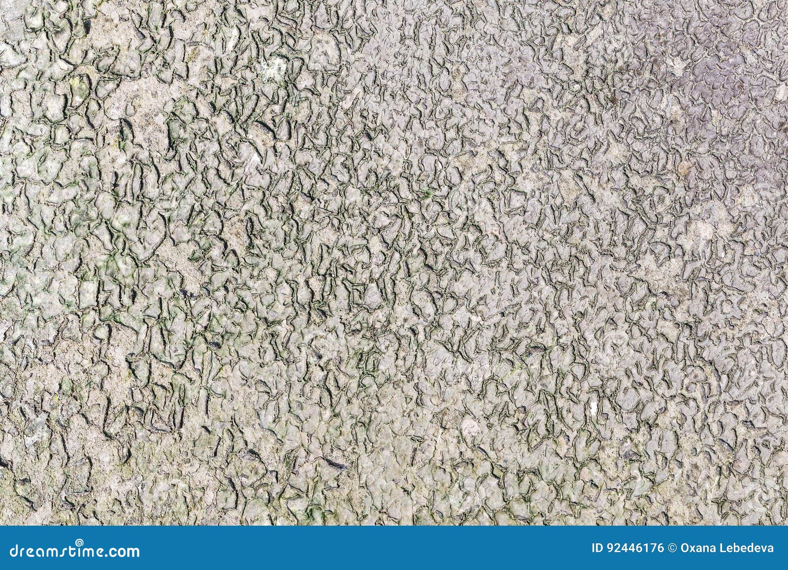 Green Ooze Waving on the River Flow Stock Photo - Image of liquid ...