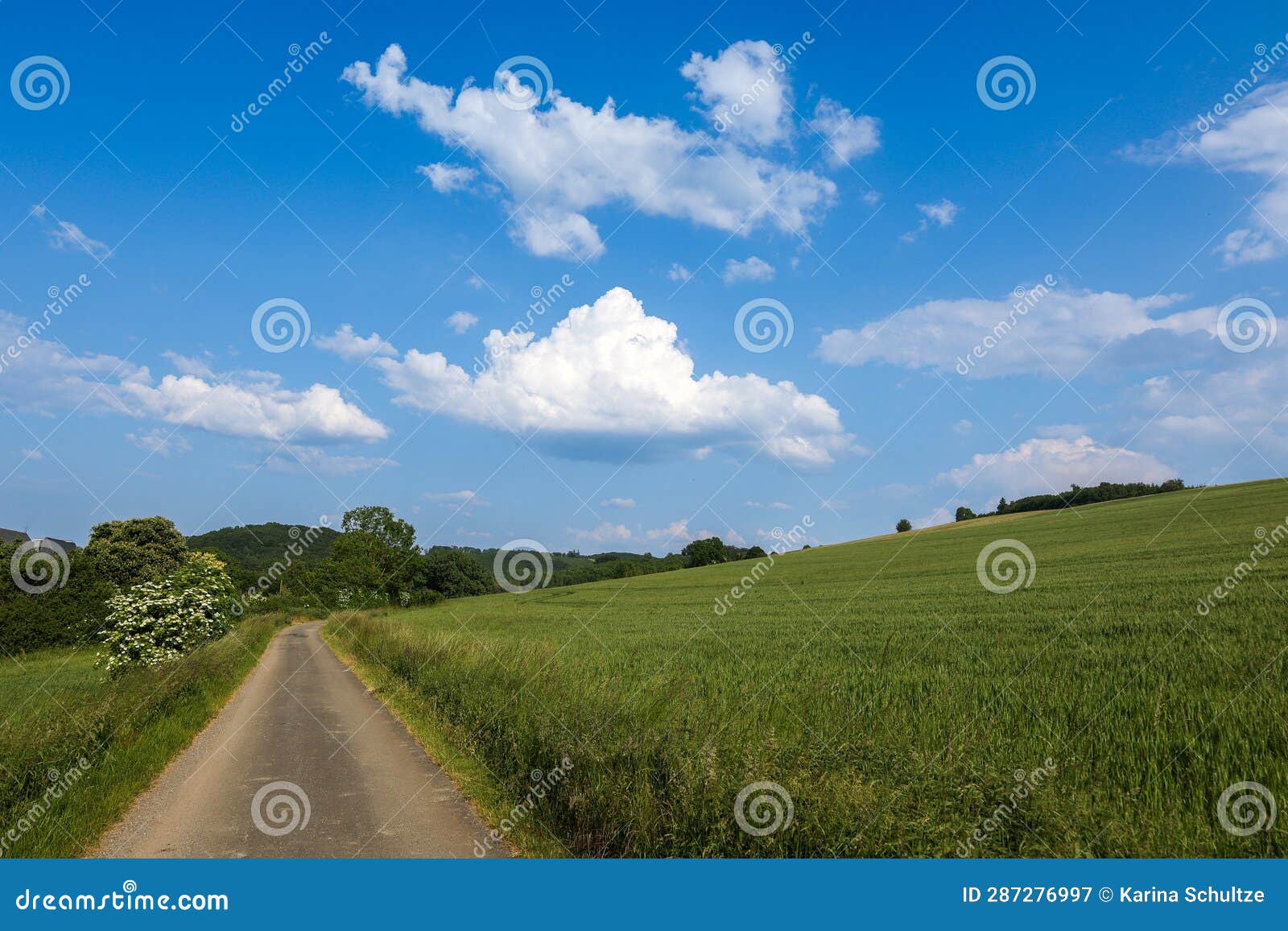 Green Open Fields in the Countryside with Blue Sky in Sauerland Stock ...