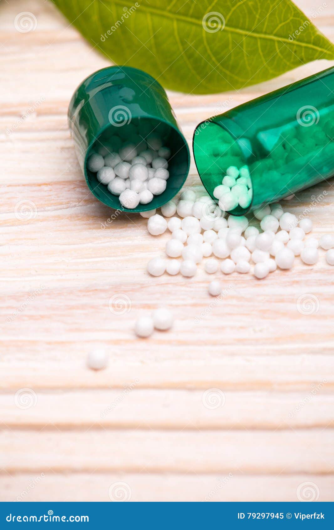 Green Opened Capsule with Small White Balls Stock Image - Image of ...