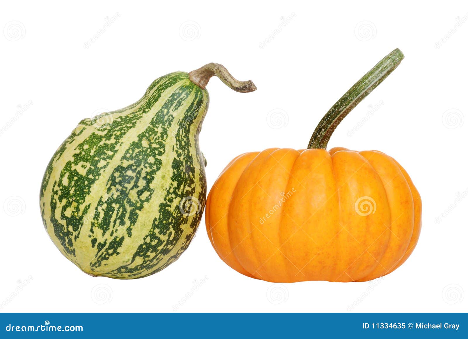 21,188 Orange Green Gourd Photos - Free & Royalty-Free Stock Photos ...
