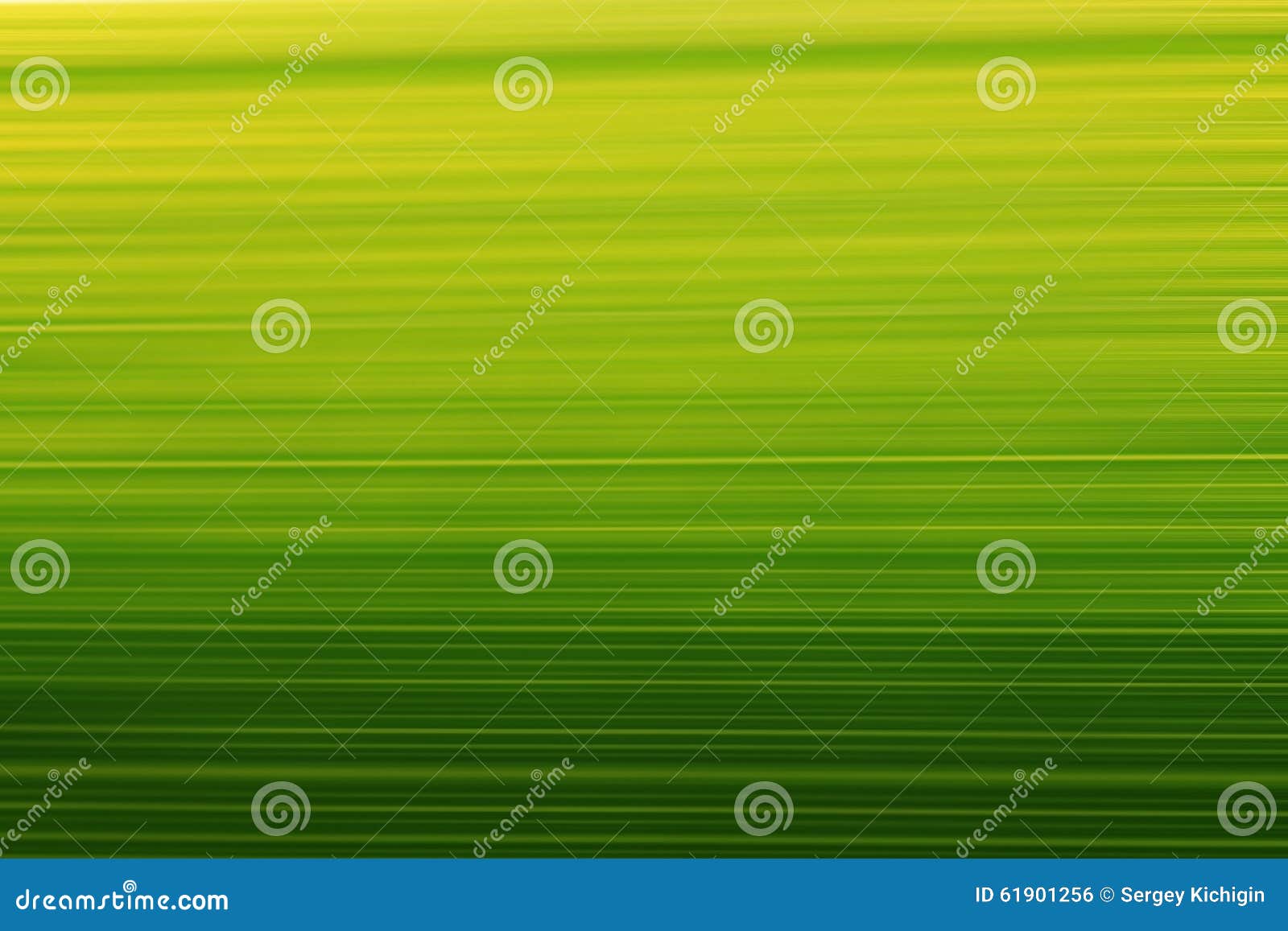 Green Organic Striped Texture Stock Photo - Image of bright, colorful ...