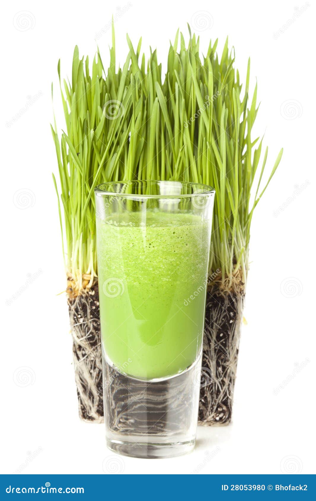 Green Organic Wheat Grass Shot Stock Photo - Image of drink, green ...