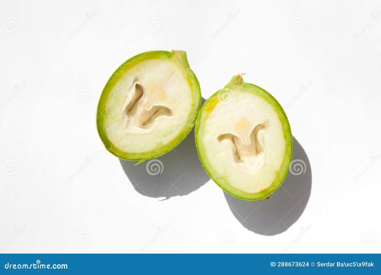 The Green Outer Shells of the Unripe Walnuts are Cut in Half, Green ...