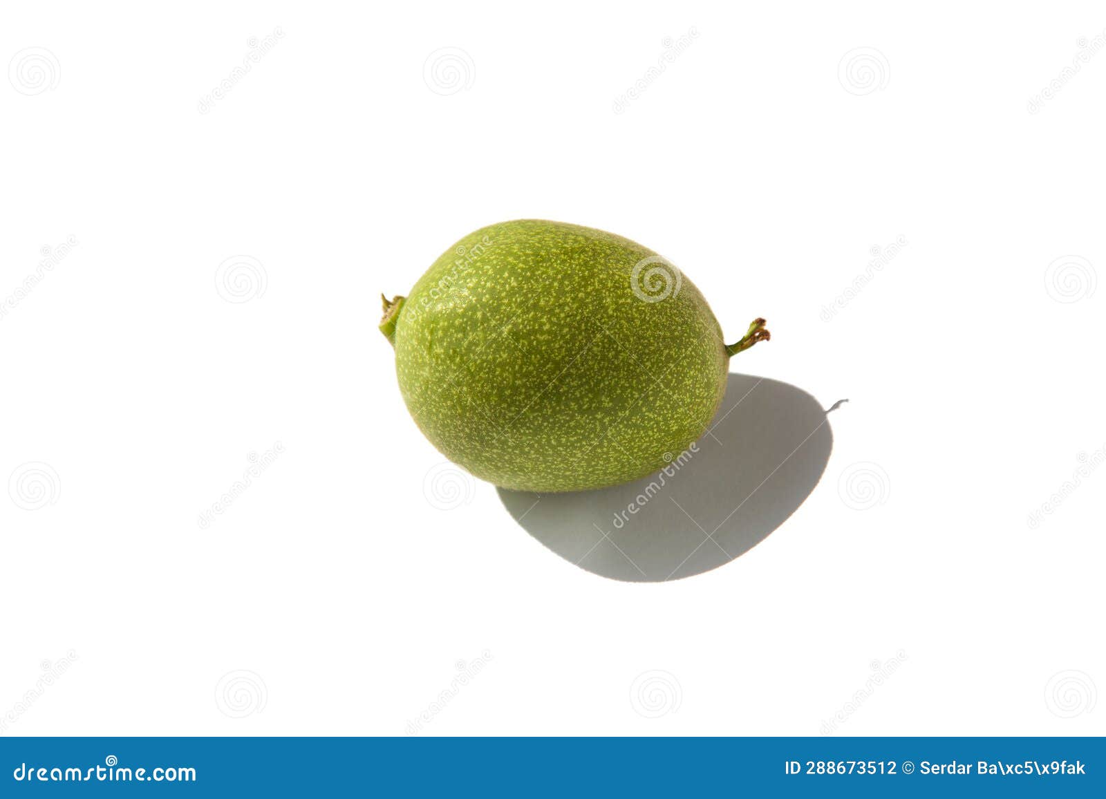 Green Outer Shells of Unripe Walnuts, Green Walnuts Stock Photo - Image ...