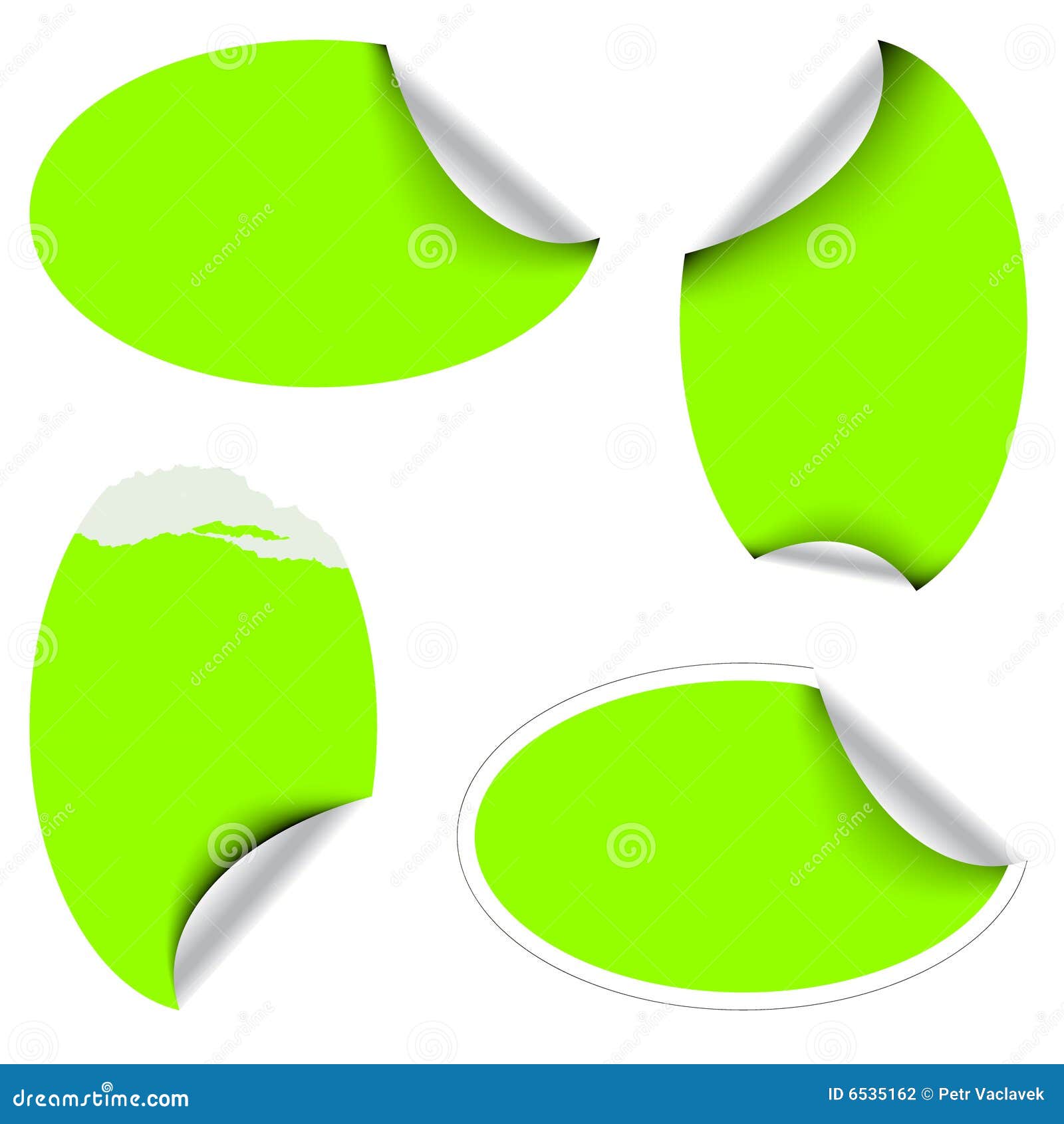 Green Oval Floral Framework And Texture Vector Illustration ...