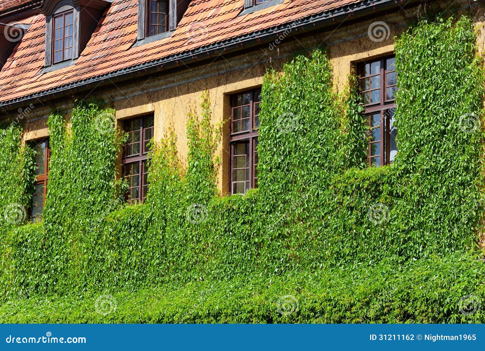 Green overgrown house stock photo. Image of building - 31211162