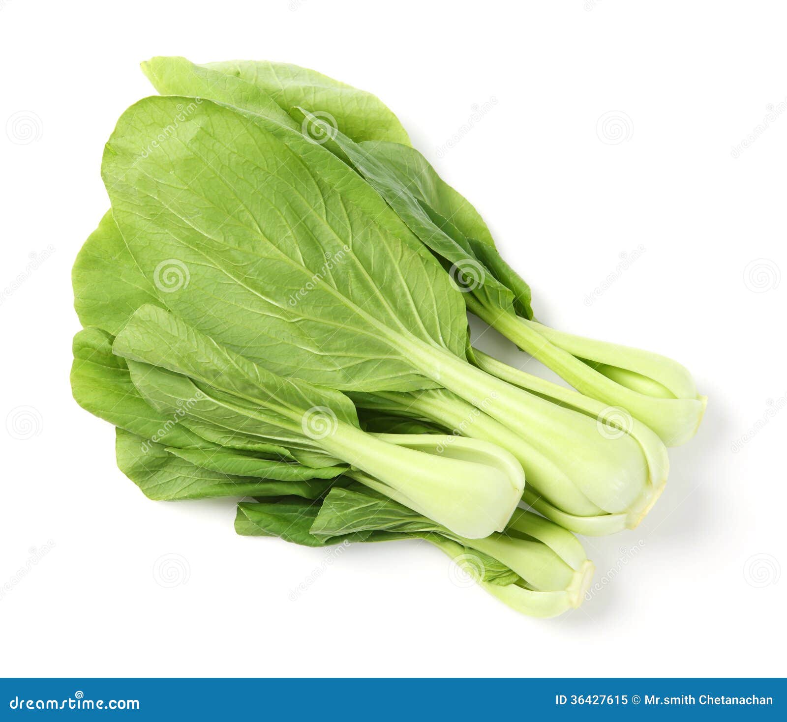 Green pak choi stock image. Image of cook, bokchoi, foliage - 36427615