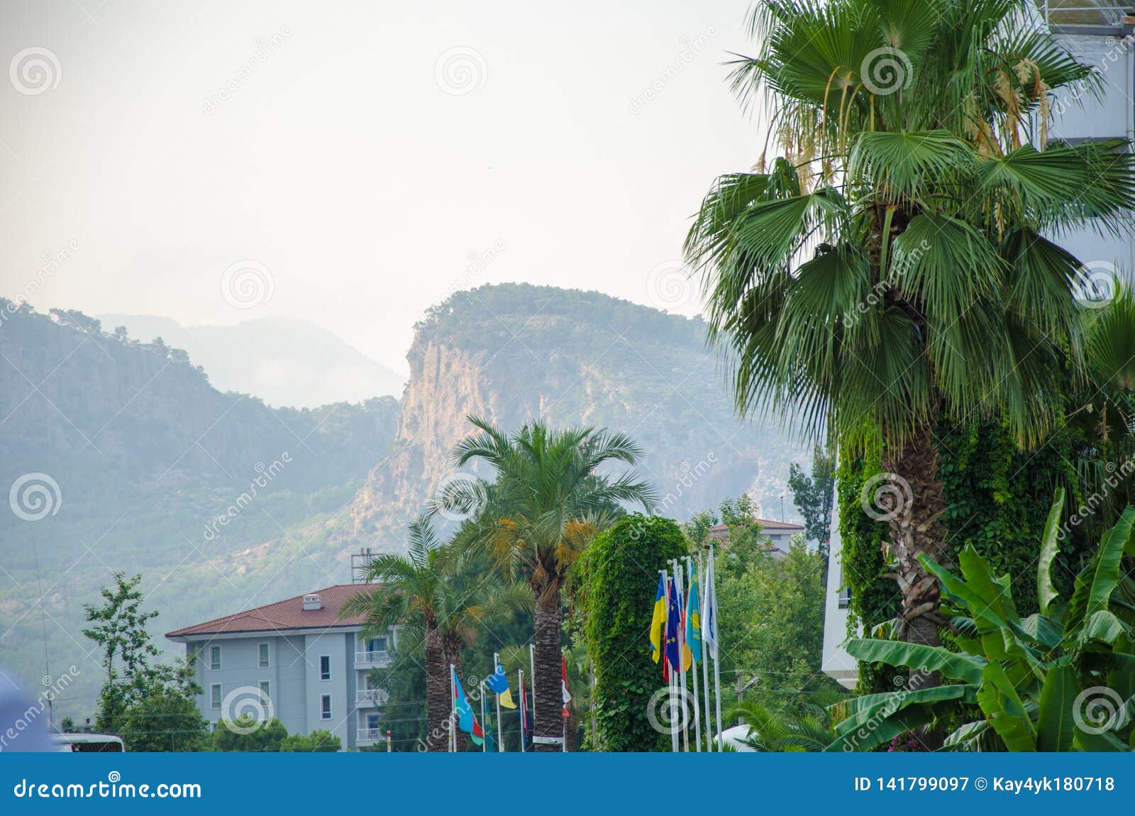 Green Palm Trees, Flags of Different Countries, Mountain. Stock Image ...