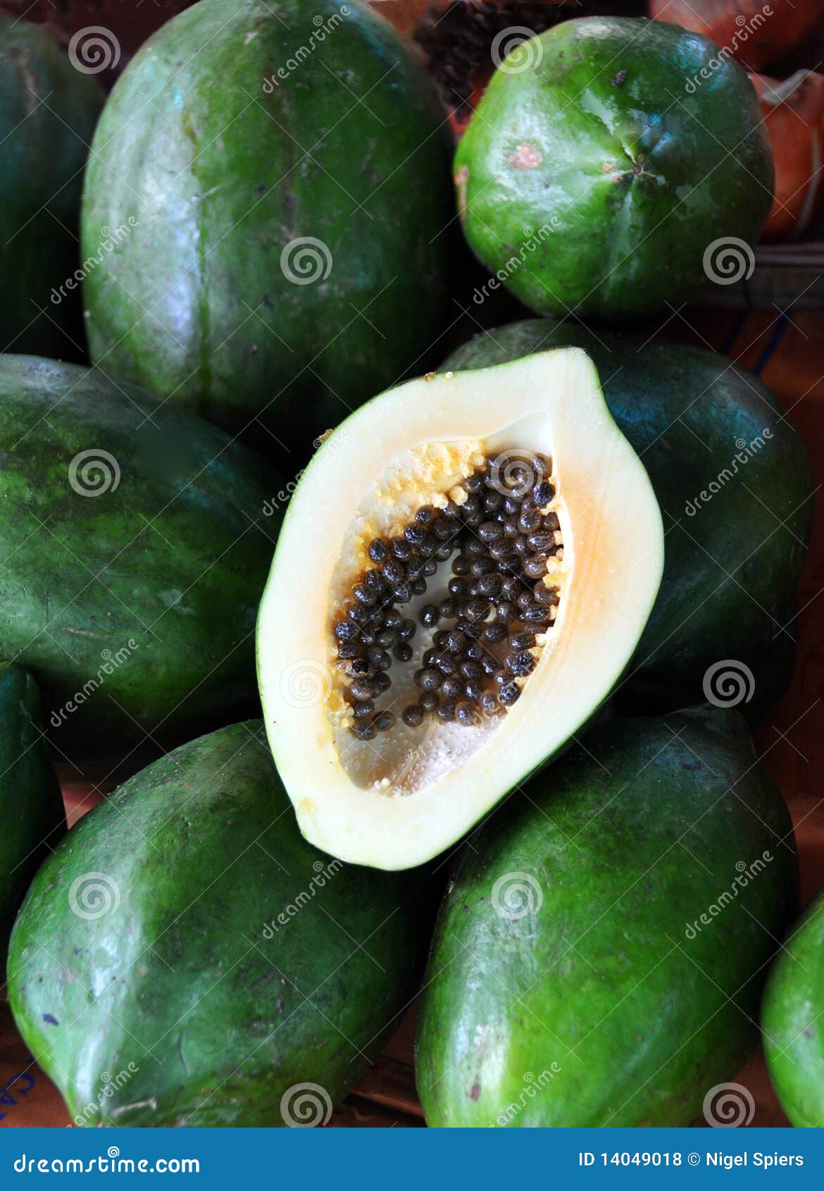 Green Papaya Fruit stock photo. Image of ripe, culinary - 14049018