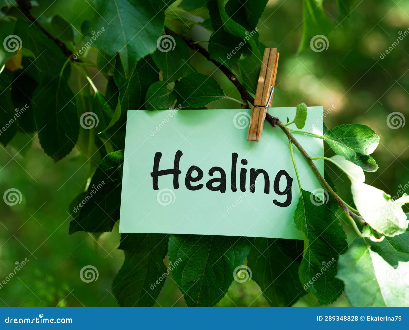 Green Paper Note with Word Healing Hanging on a Tree Branch Stock Photo ...