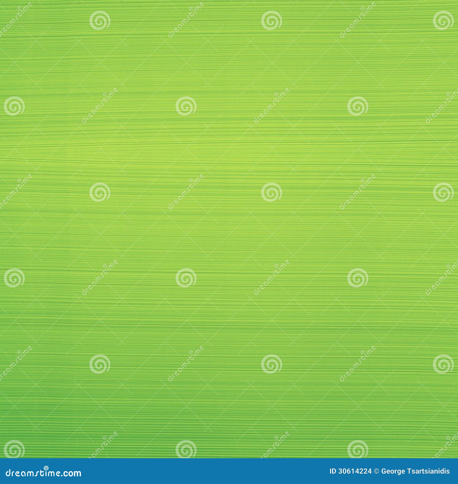 1,545 Green Papers Texture Background Stock Photos - Free & Royalty ...