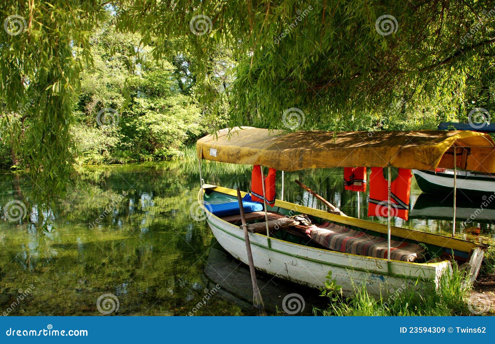Green Paradise In Sri Lanka Royalty-Free Stock Image | CartoonDealer ...
