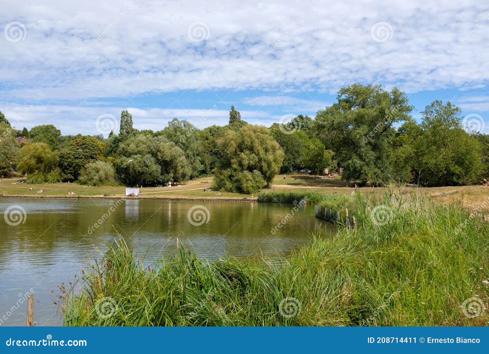 Green Paradise, Hampstead Heath, Uk Editorial Photo - Image of park ...
