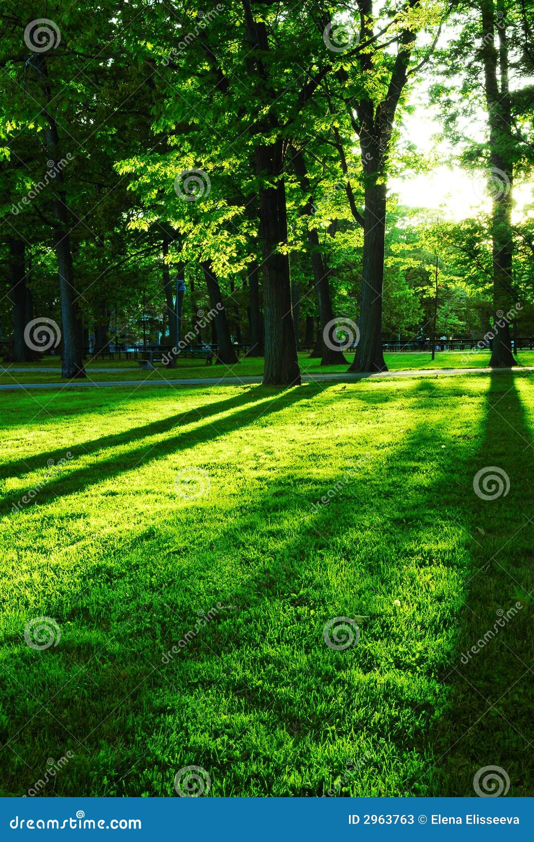 Green park stock image. Image of cast, lawn, beauty, setting - 2963763