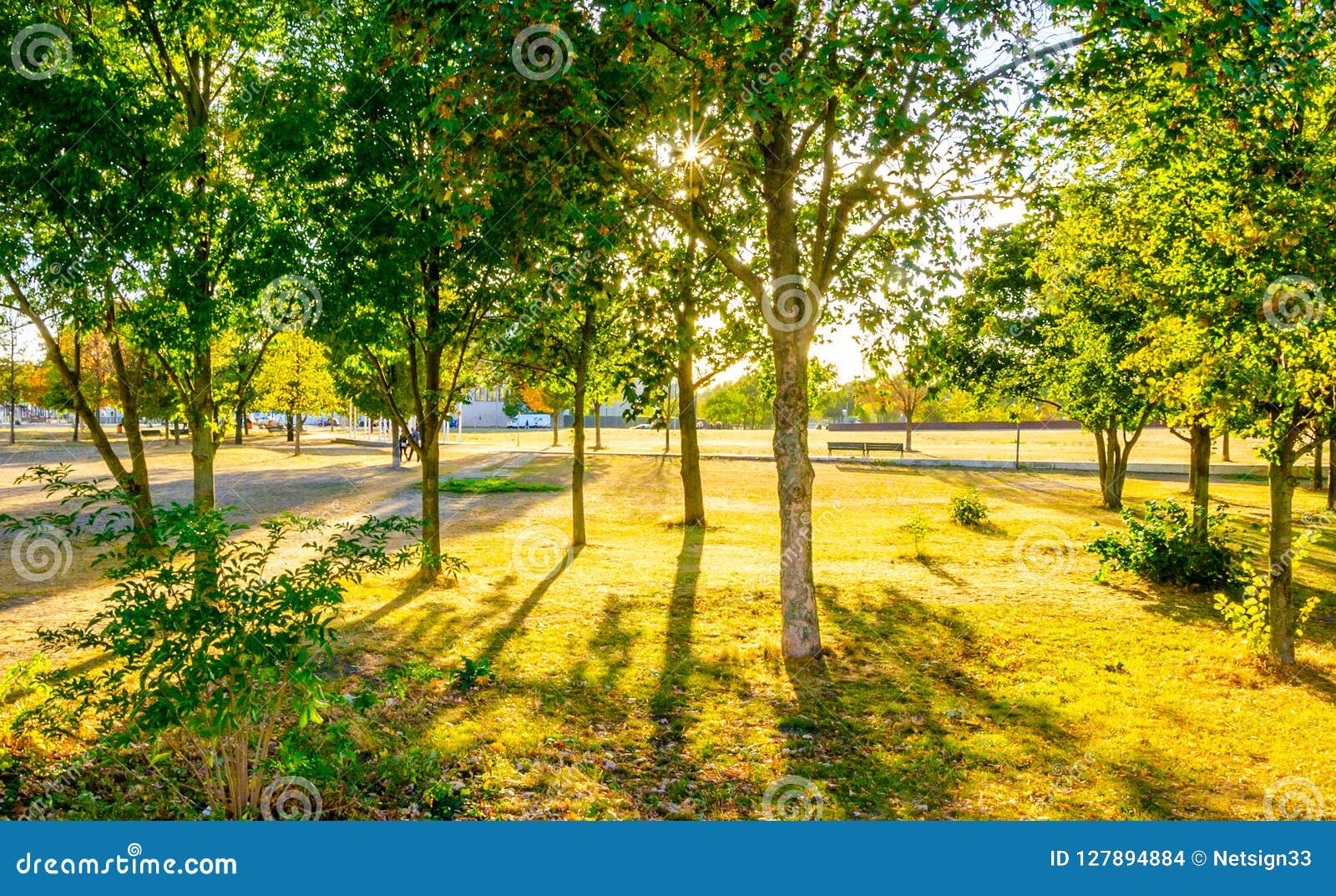 Green Park with Background Lights Stock Photo - Image of outside ...