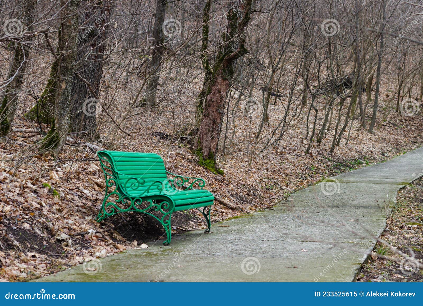 Green park bench stock image. Image of tree, autumn - 233525615