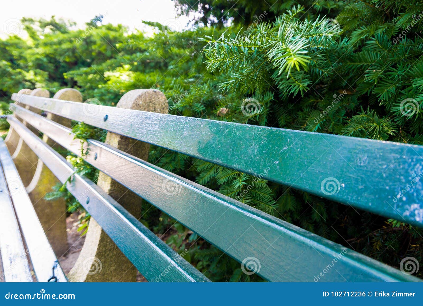 Park Bench Perspective Stock Images - Download 3,127 Royalty Free Photos