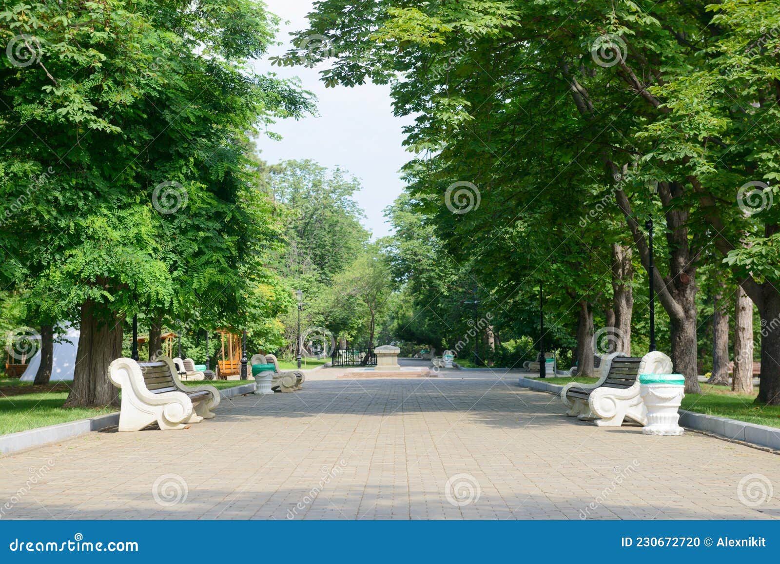Green Park with Benches and Trees on a Sunny Summer Day Stock Photo ...