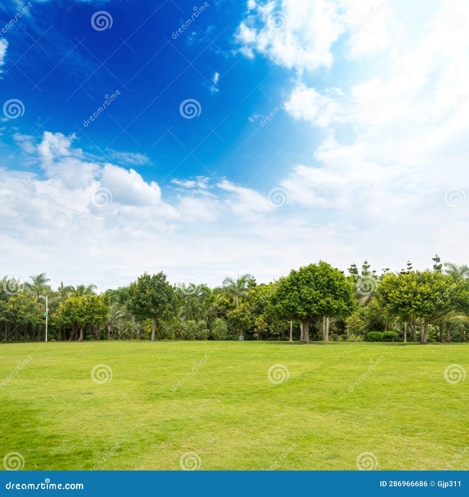Green park with blue sky stock photo. Image of cloud - 286966686