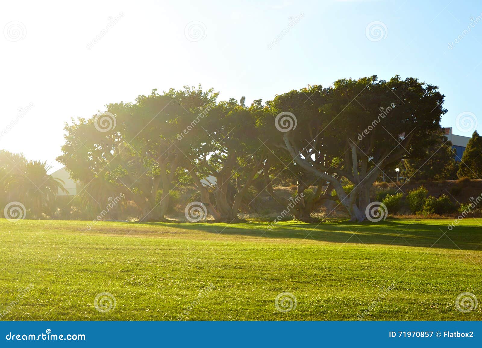 Green park with blue sky stock image. Image of nature - 71970857