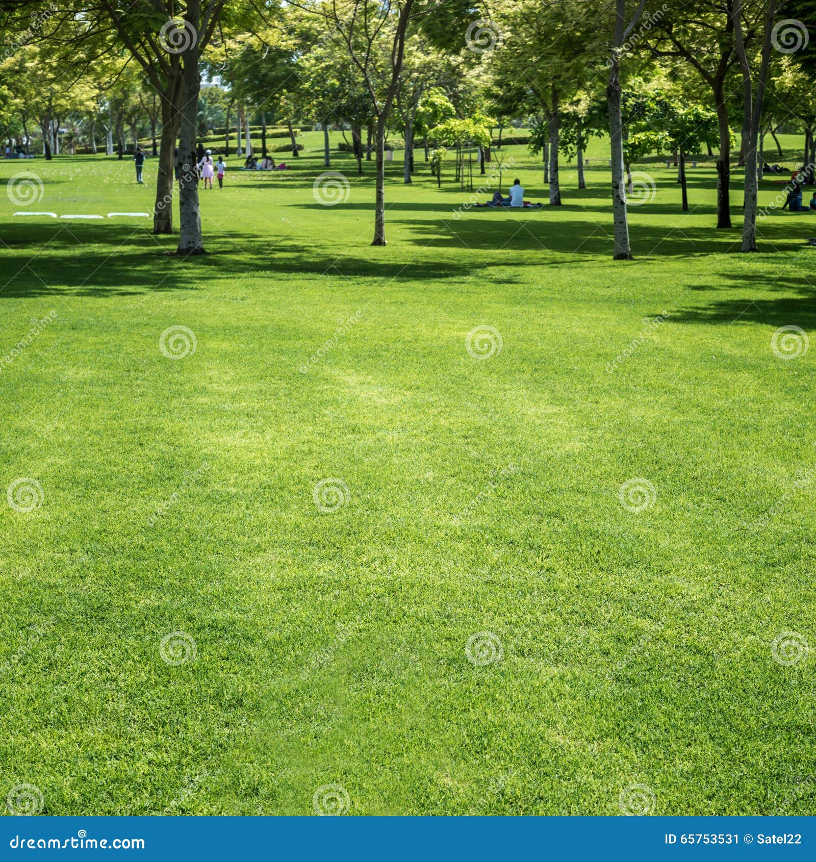 Green park in the city stock image. Image of lawn, lifestyle - 65753531