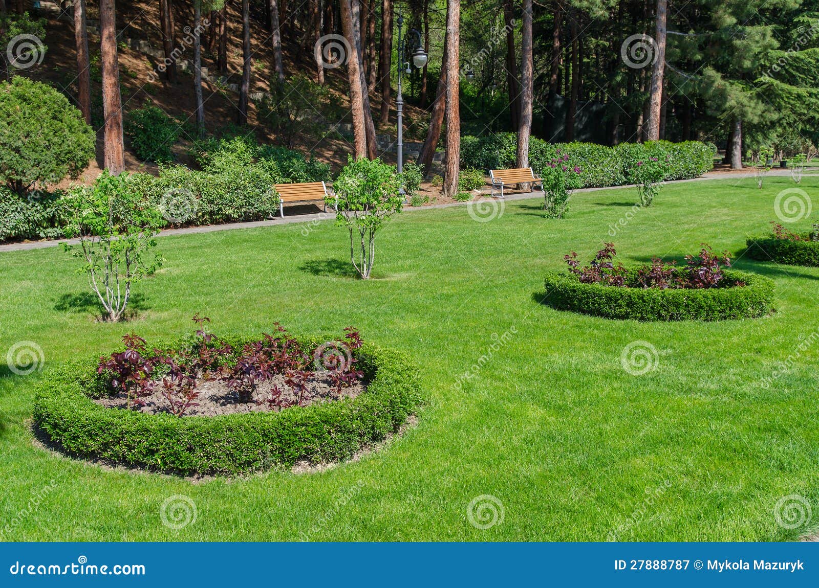 Green park design stock image. Image of meadow, leaf - 27888787