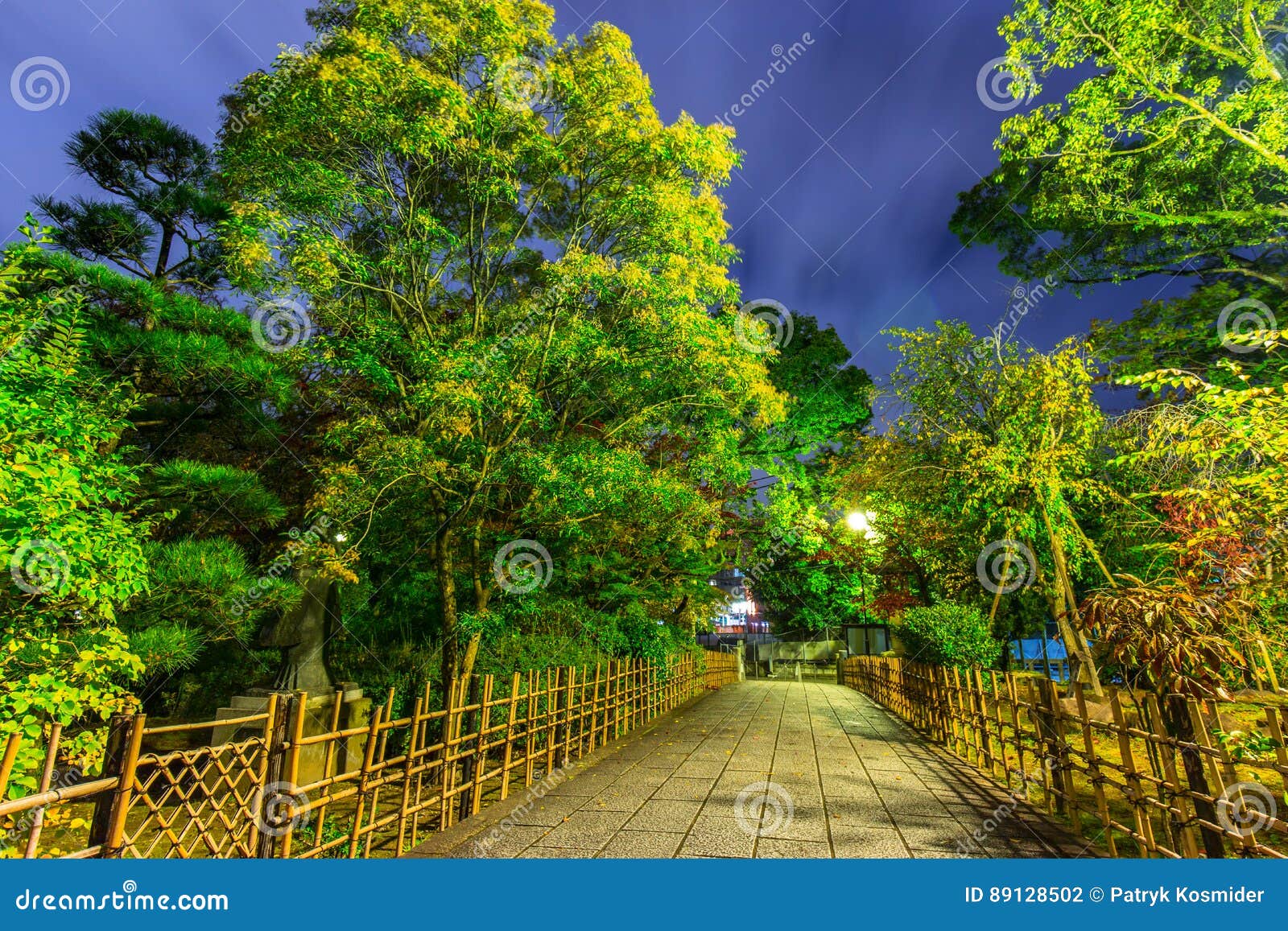 Green Park in Kyoto at Night Stock Photo - Image of oriental, light ...