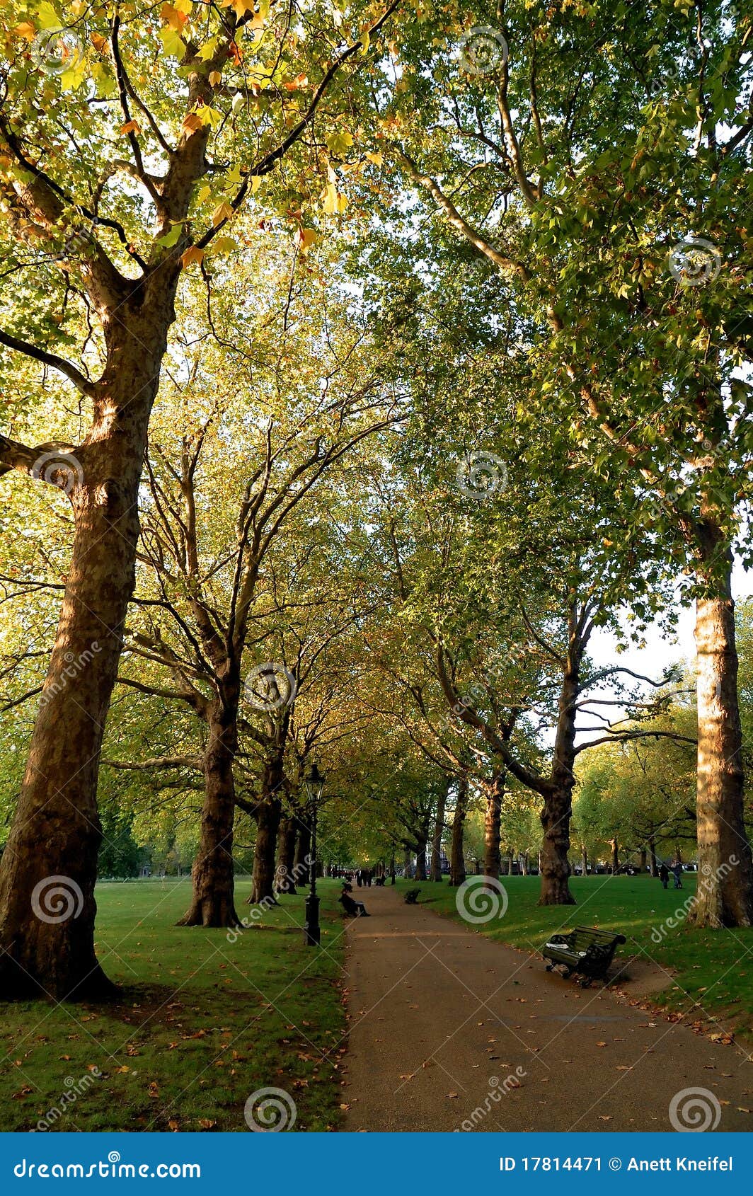 Green park, London stock image. Image of park, ground - 17814471