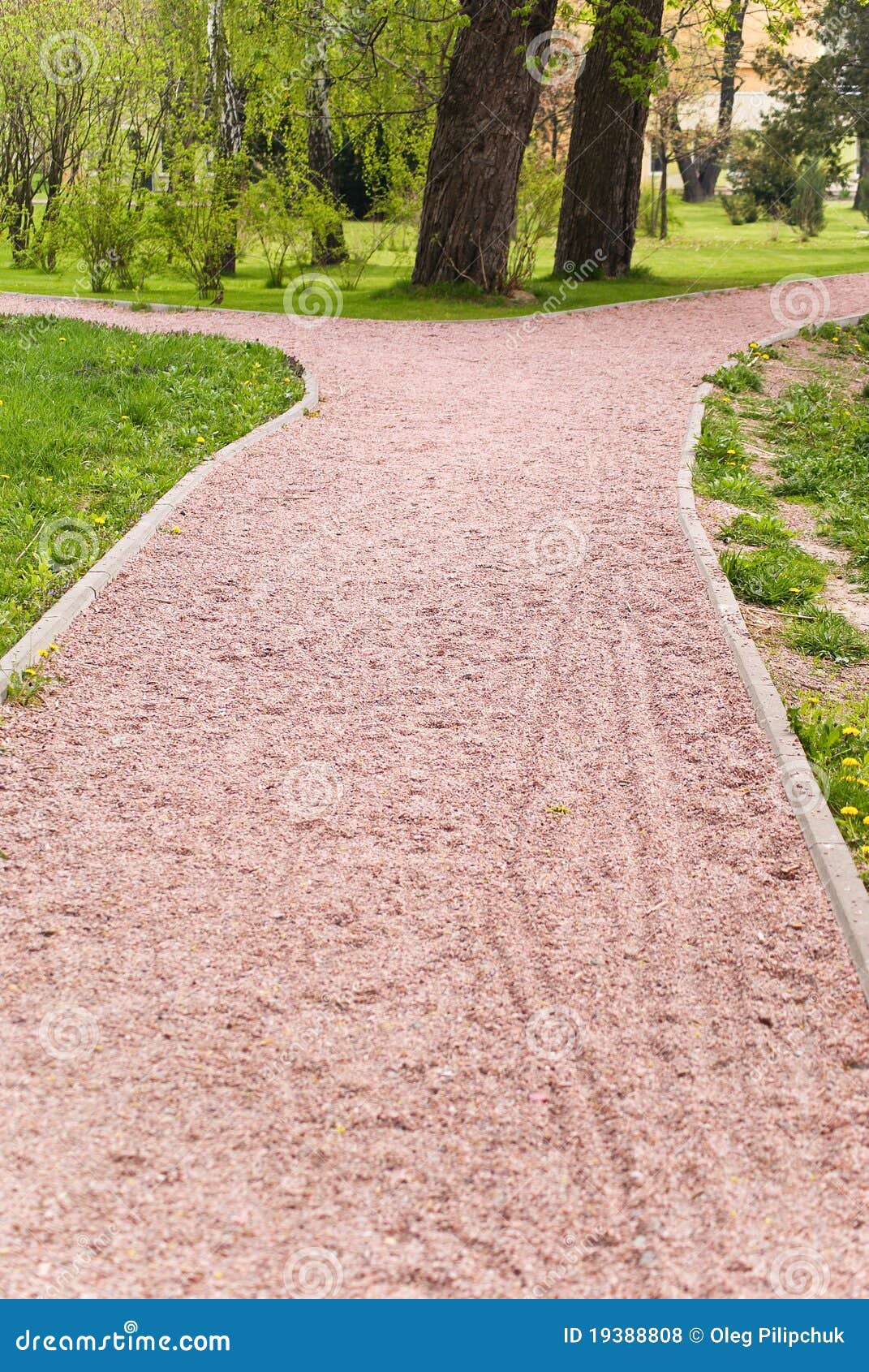 Green park with path stock photo. Image of light, summer - 19388808
