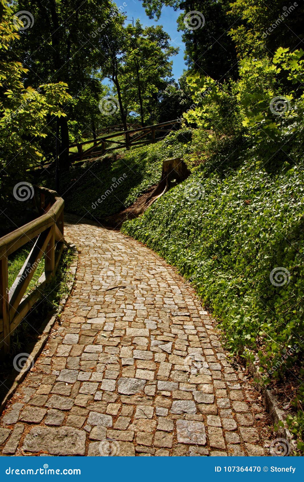 Green Park with a Paved Path Stock Photo - Image of mountain ...