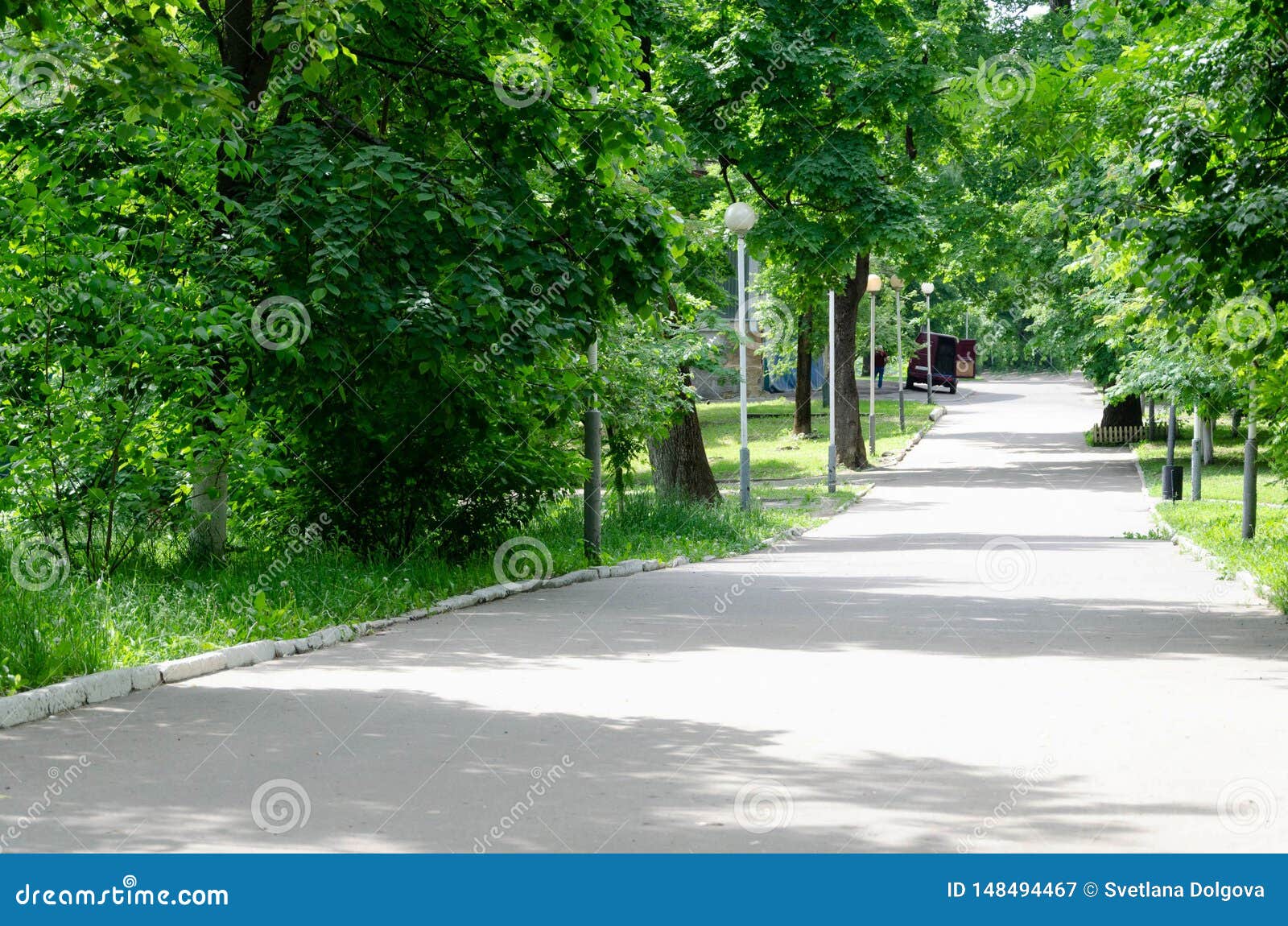 Green Park with Road, Trees Alley Stock Image - Image of forest ...
