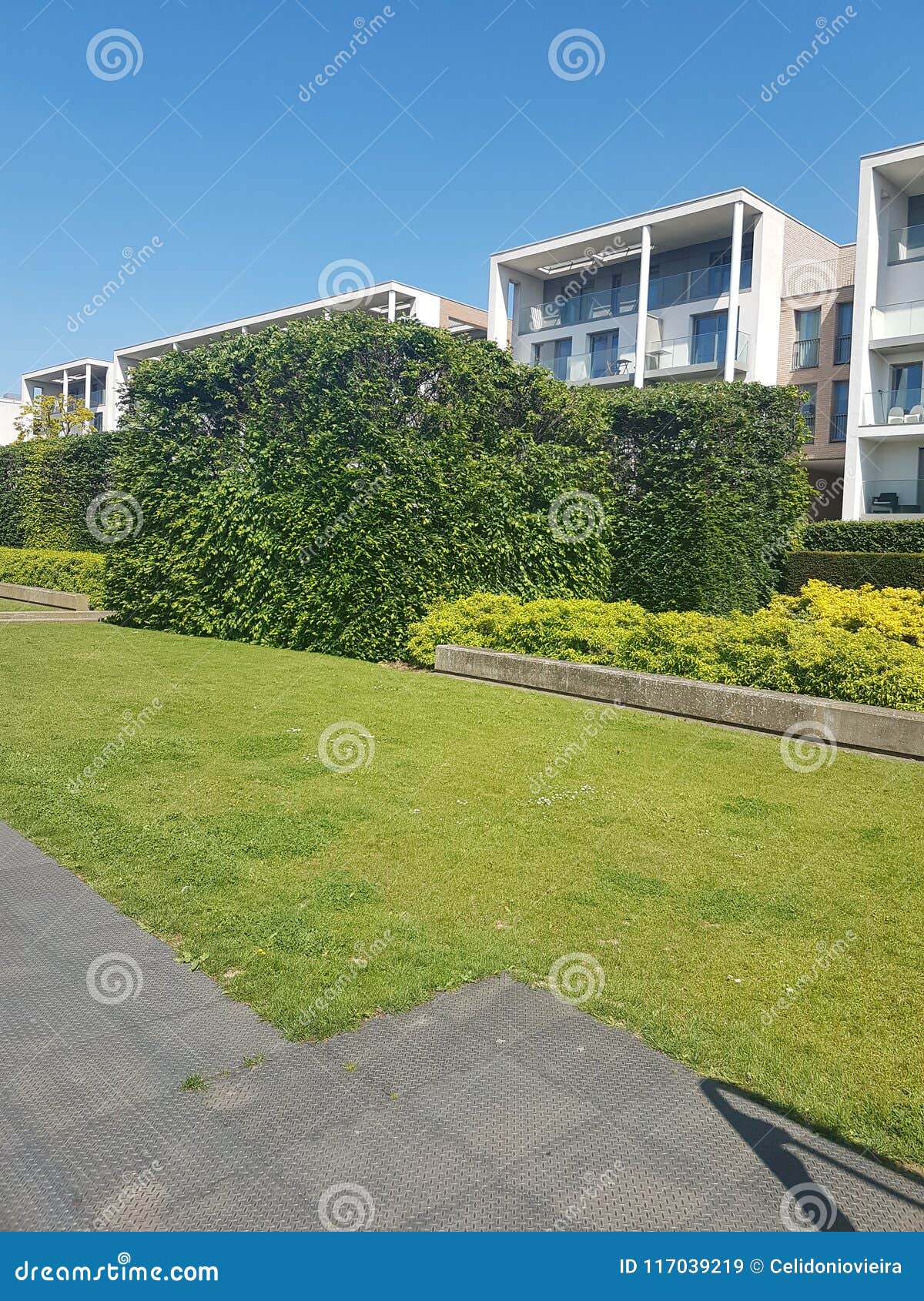 Green stock image. Image of park, grass, green - 117039219