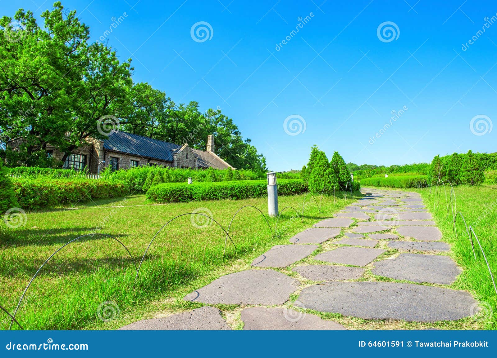 Stone Pathway Texture Stock Photography | CartoonDealer.com #66647336