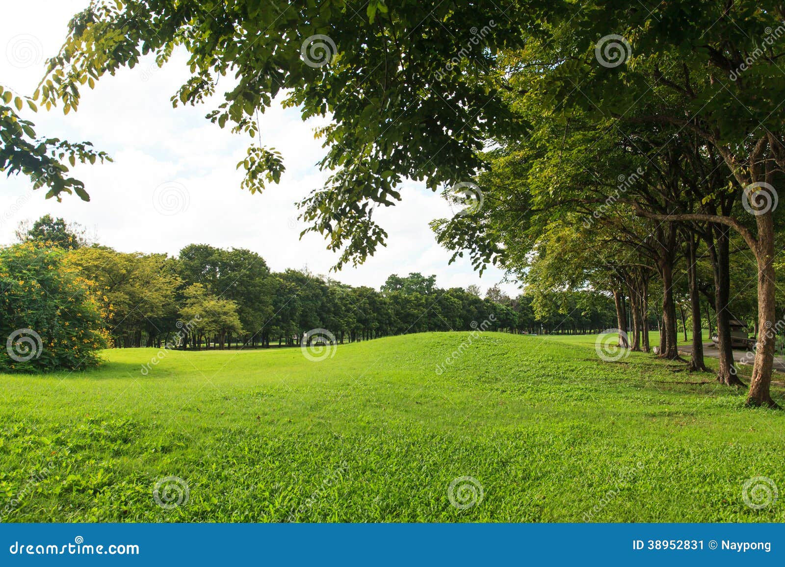 Green park stock image. Image of town, landscape, scenic - 38952831