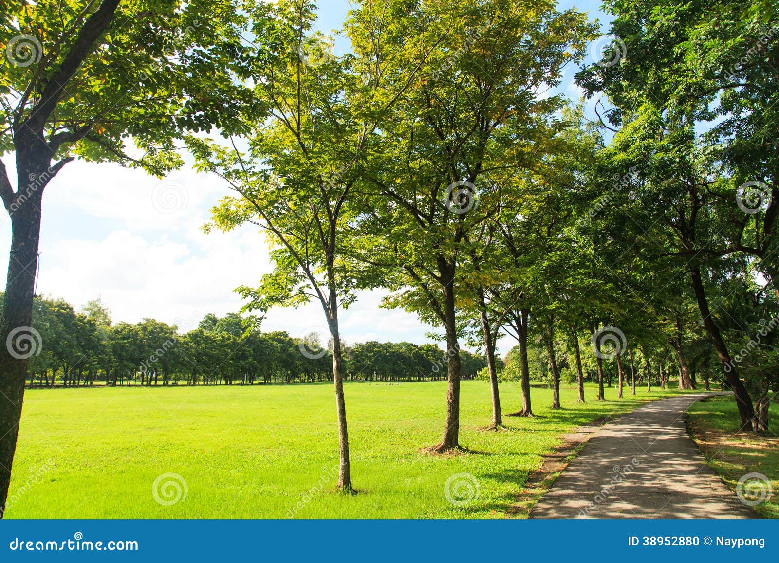 Green park stock photo. Image of landscaped, garden, pathway - 38952880