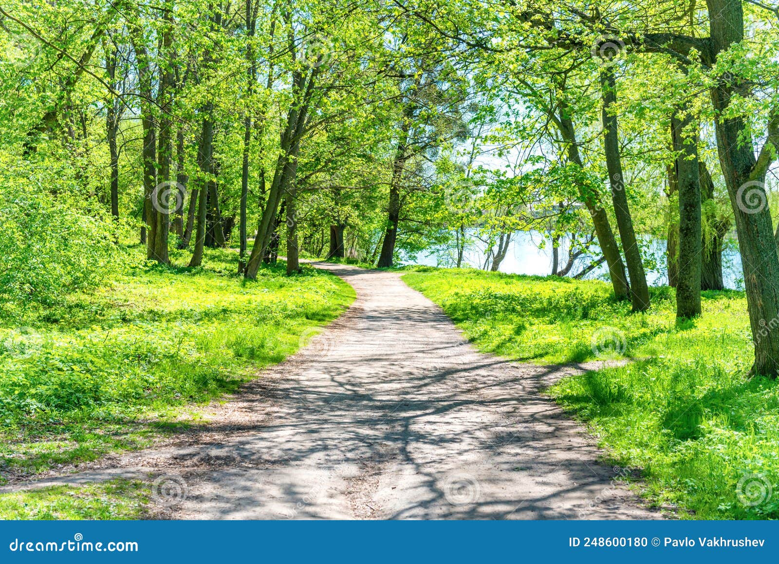 Green Park with Trees and Path Stock Photo - Image of beautiful ...