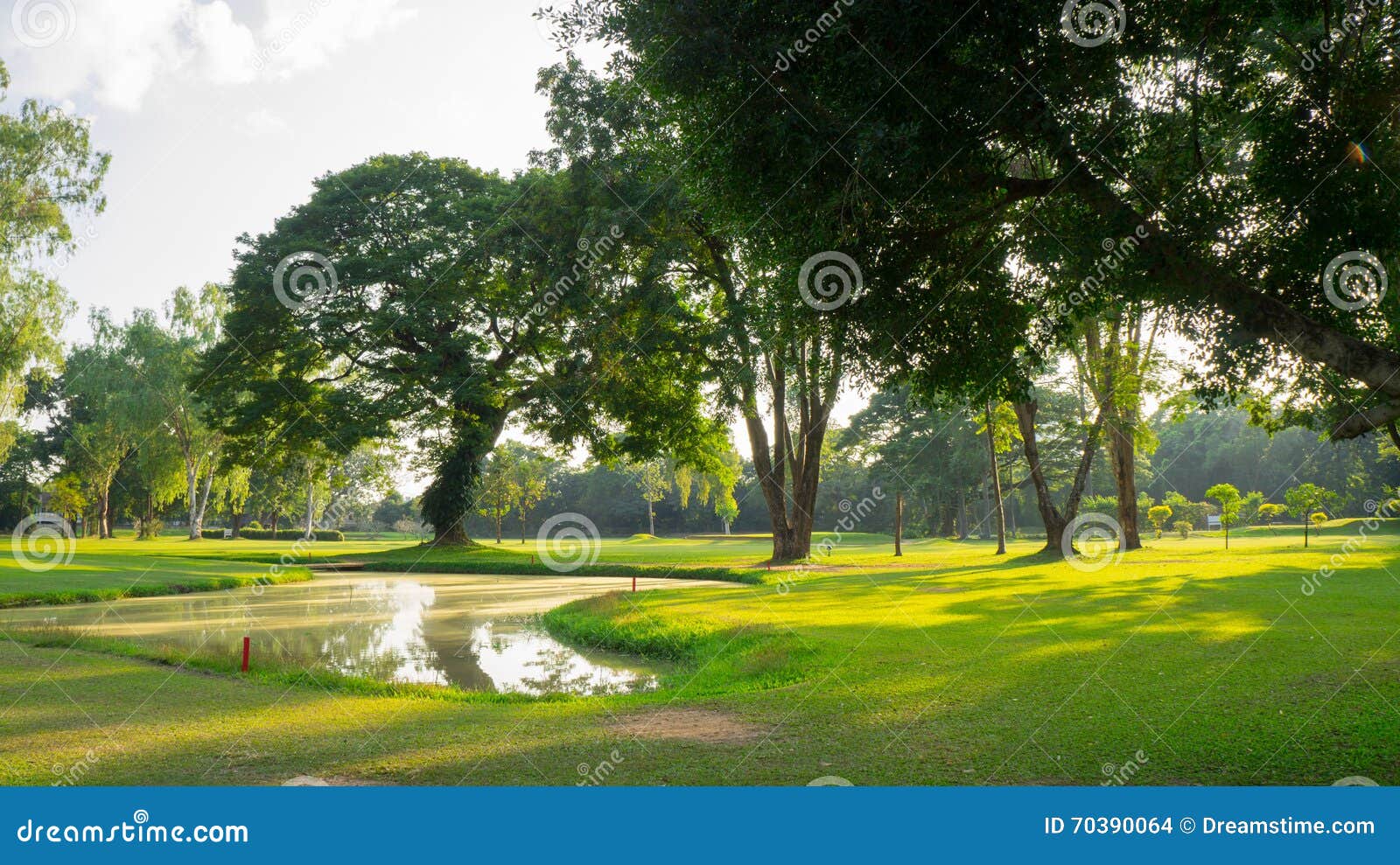 Green park with trees stock photo. Image of land, meadow - 70390064