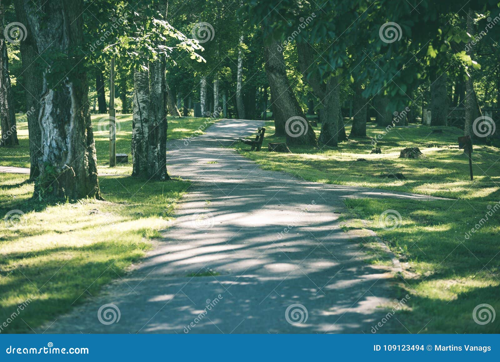 Green Park with Walkways - Vintage Green Effect Stock Photo - Image of ...