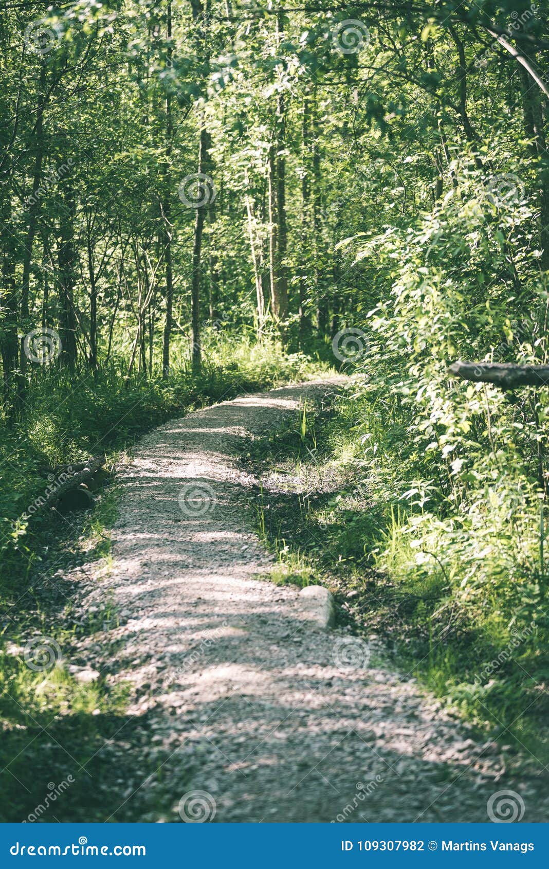 Green Park with Walkways - Vintage Green Effect Stock Photo - Image of ...