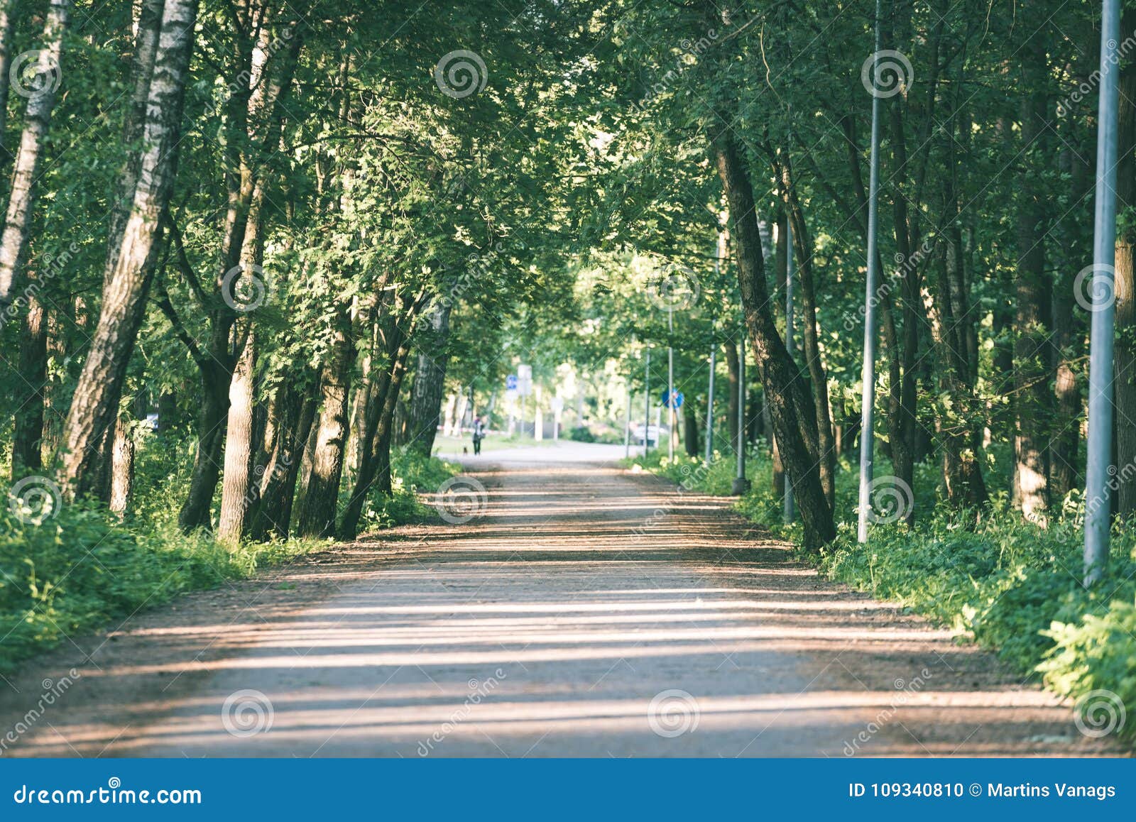 Green Park with Walkways - Vintage Green Effect Stock Photo - Image of ...