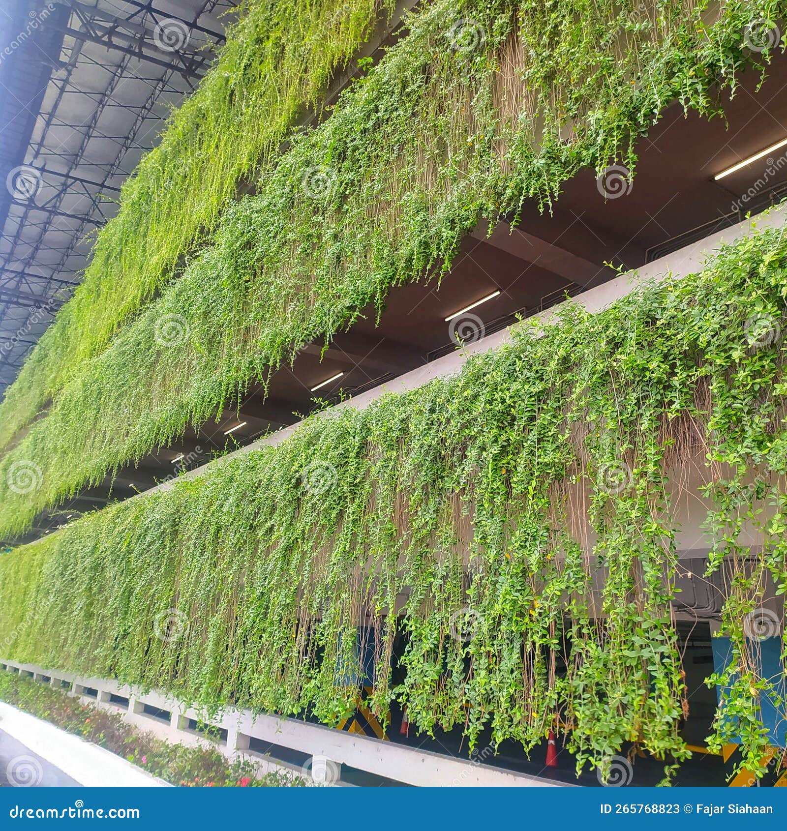 Green Parking Building stock image. Image of garden - 265768823