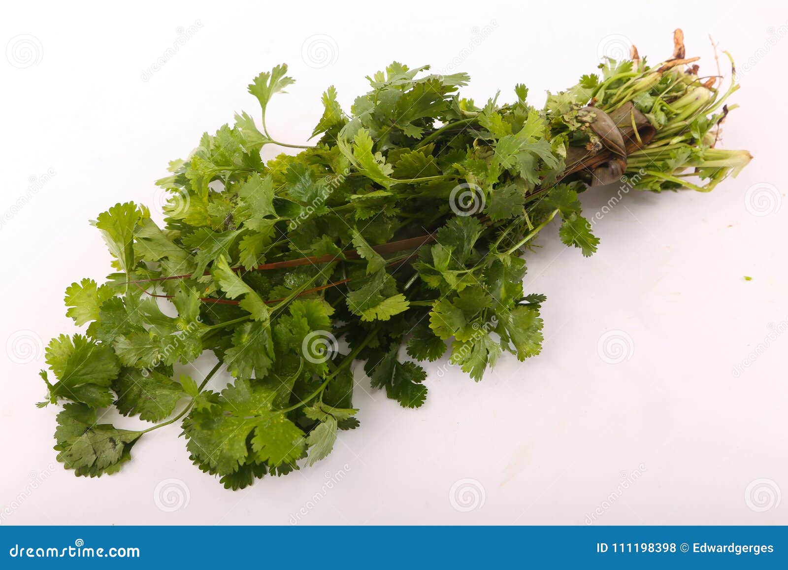 Green Parsley Pack stock photo. Image of dieting, foliage - 111198398