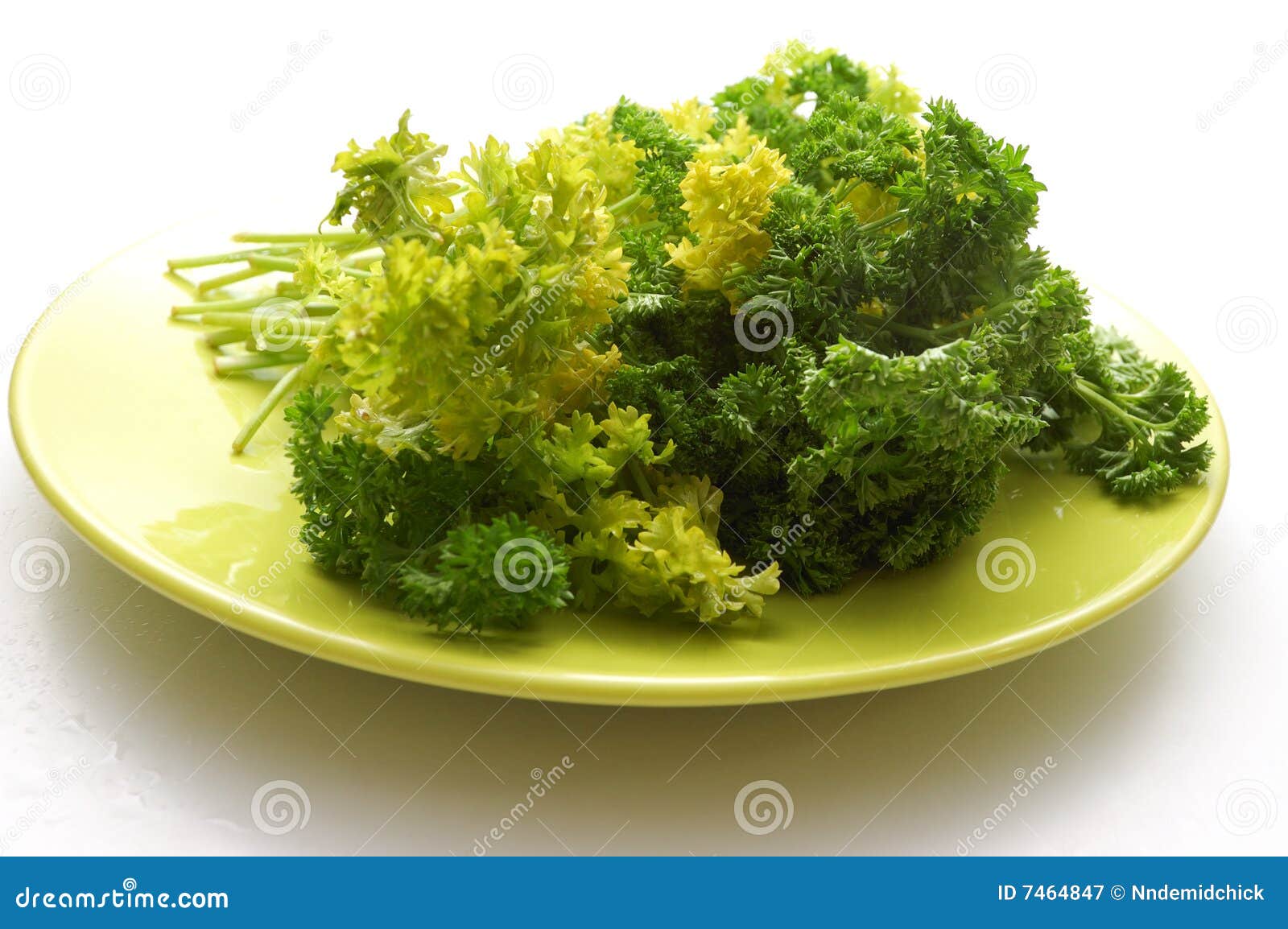 Green parsley on plate stock image. Image of closeup, vegetarian - 7464847